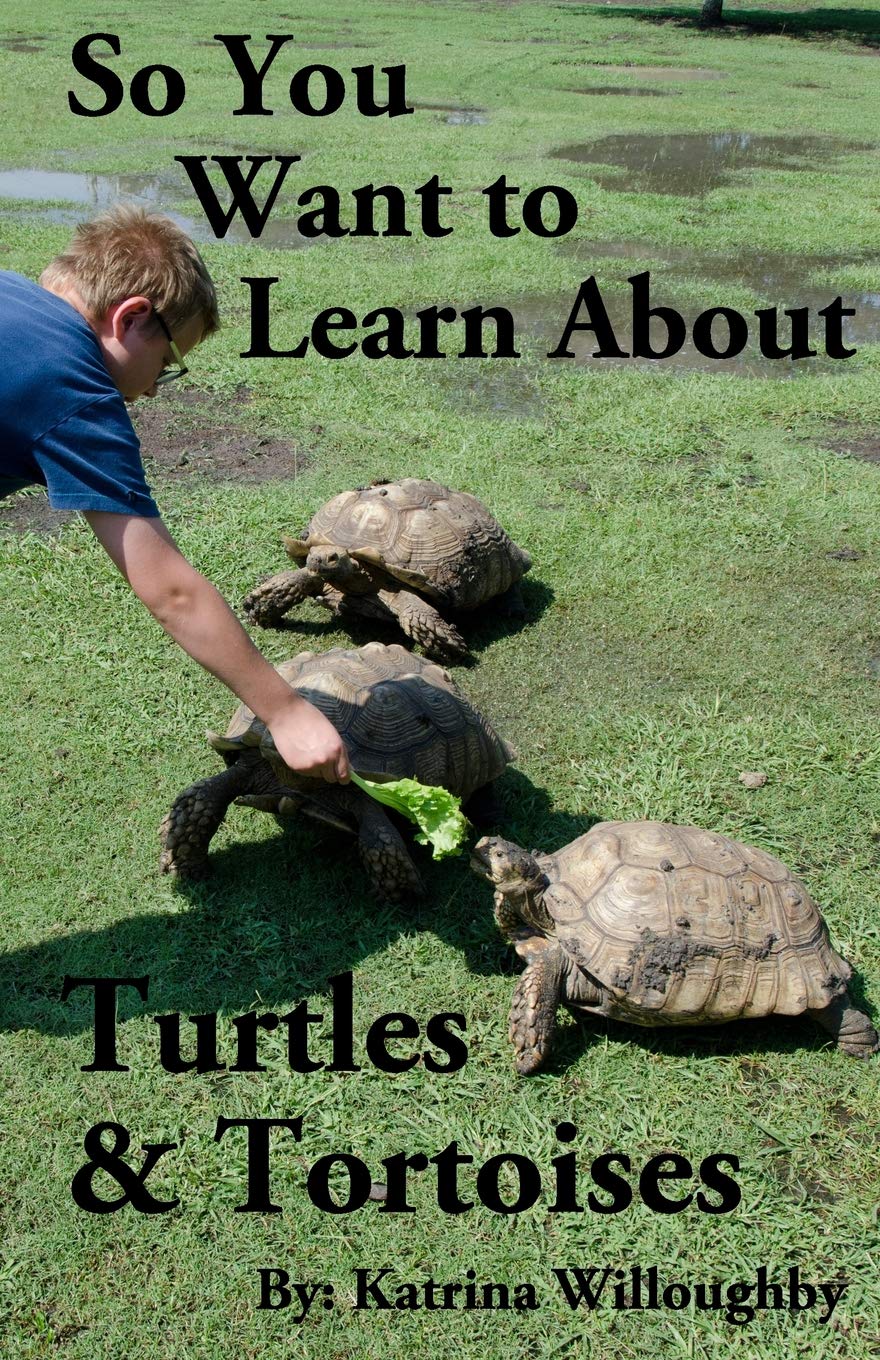 So You Want to Learn About Turtles & Tortoises: Willoughby, Katrina ...