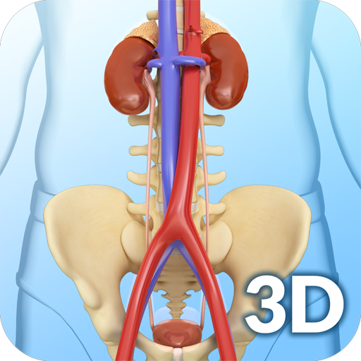 My Urinary System:Amazon.co.uk:Appstore for Android