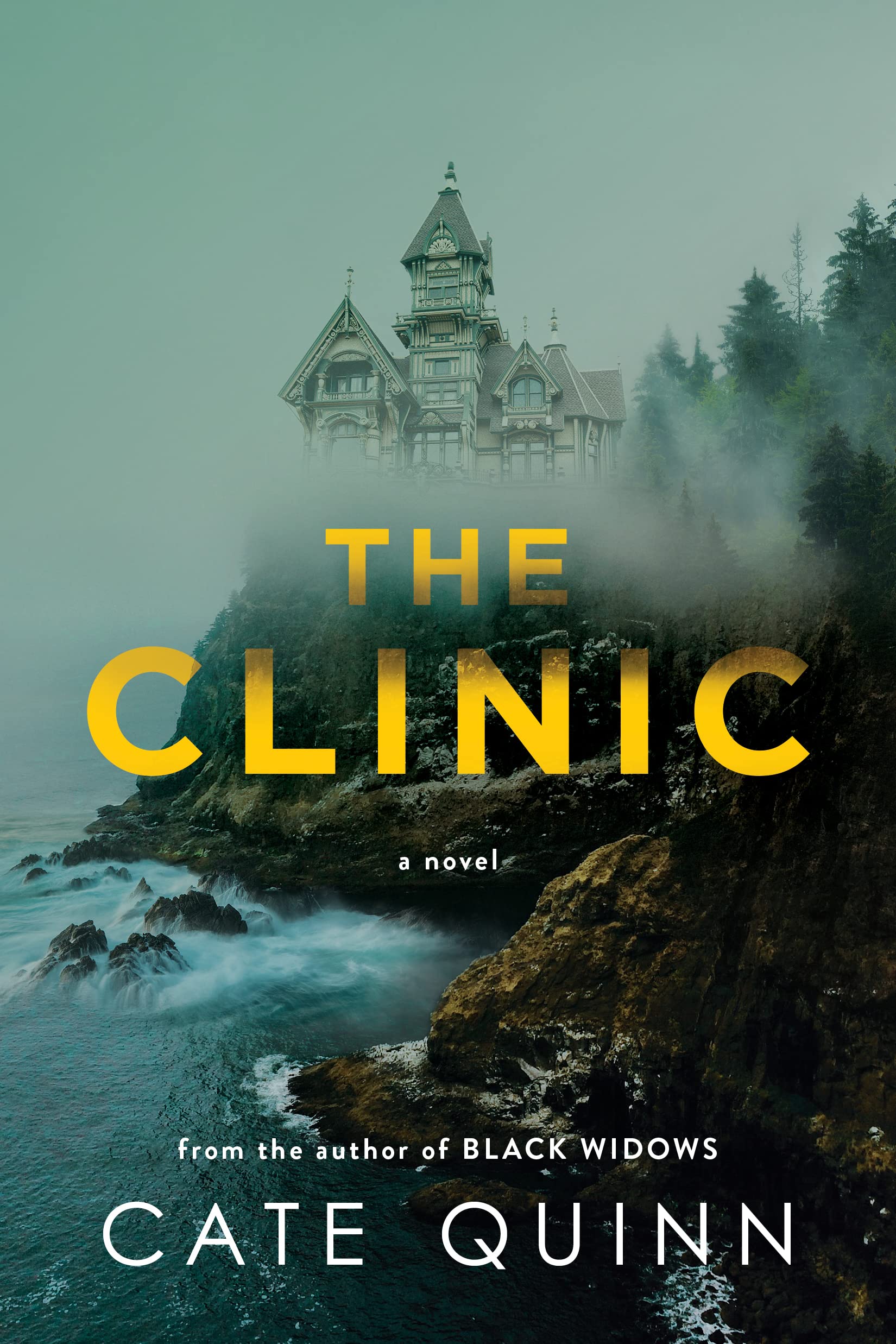 Amazon.com: The Clinic: A Novel: 9781464216213: Quinn, Cate: Books