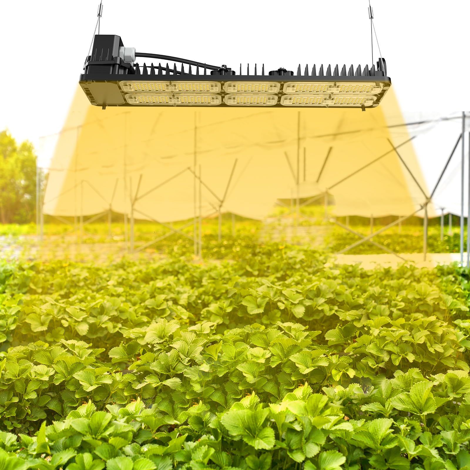 SANSI 200W Dimmable LED Grow Light, Full Spectrum Plant Light with ...