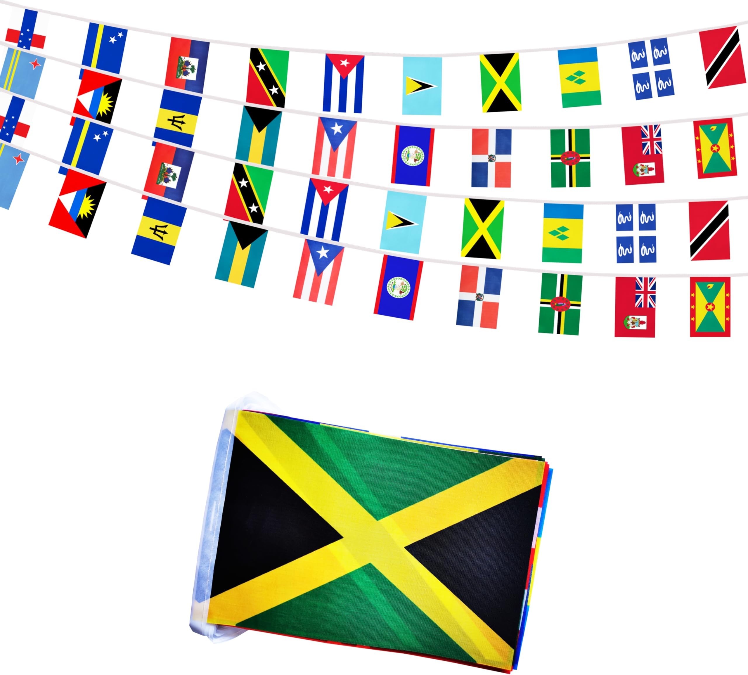 Amazon.com : Set of 20 Caribbean Countries 4"x6" Desk Table Stick Flag ...