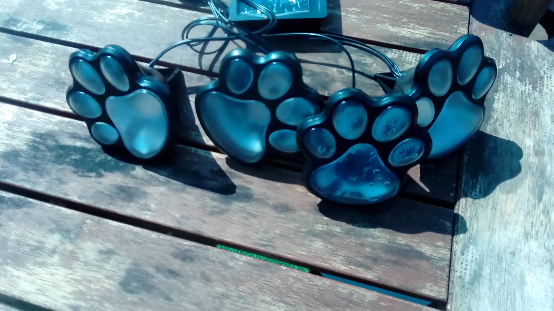 Outdoor LED Paw Solar Decor Lamp (Set of 4) Solar Dog Cat Animal Paw ...