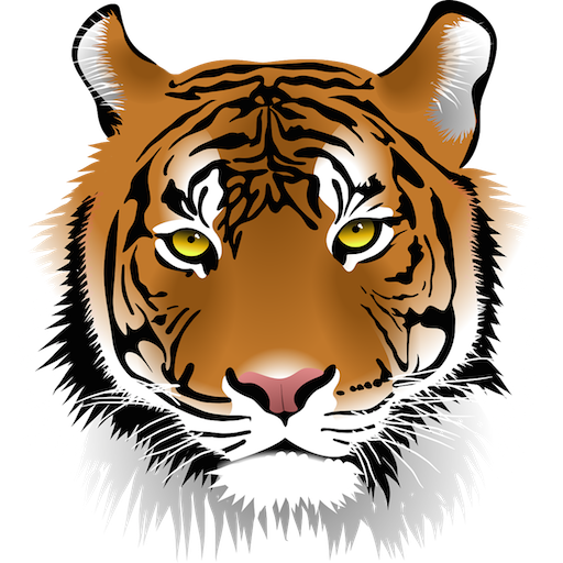 Johnny's Tiger Puzzle Game - App on Amazon Appstore