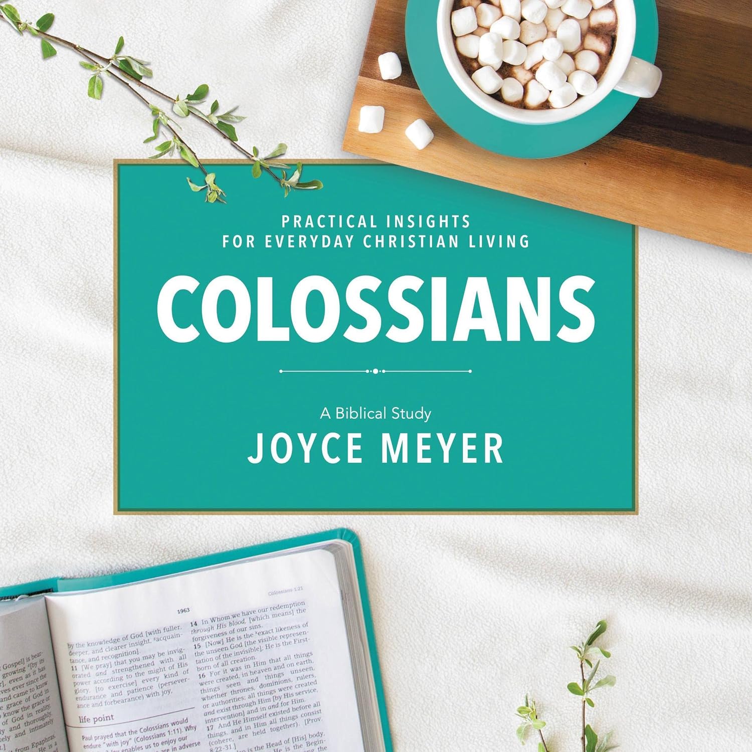 Amazon.com: Colossians: A Biblical Study (Audible Audio Edition): Joyce ...