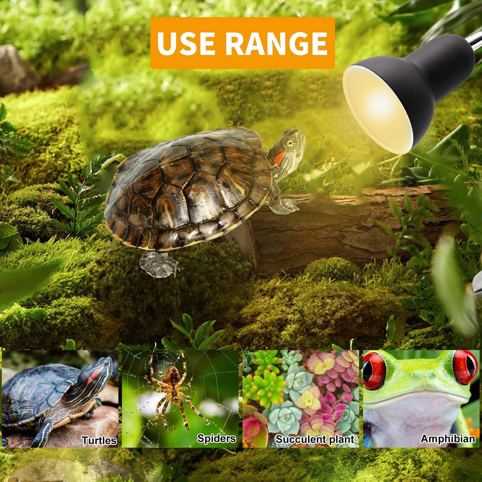 CarPlusStudio Tortoise Heat Lamp – Basking Lamp for Tortoise, Reptile ...