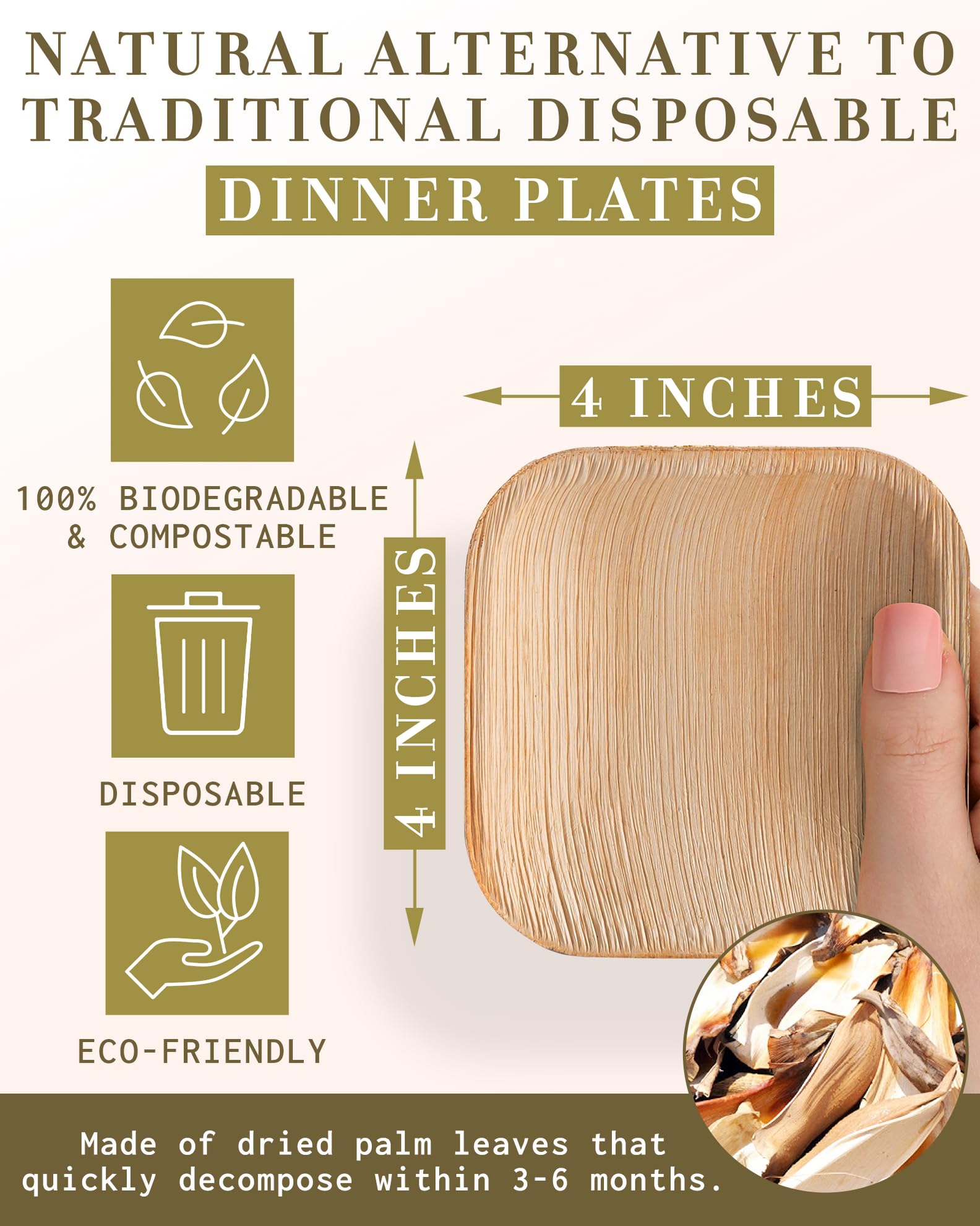 Snapklik.com : Brheez Bamboo Plates Made From Palm Leaf - 10 Party ...