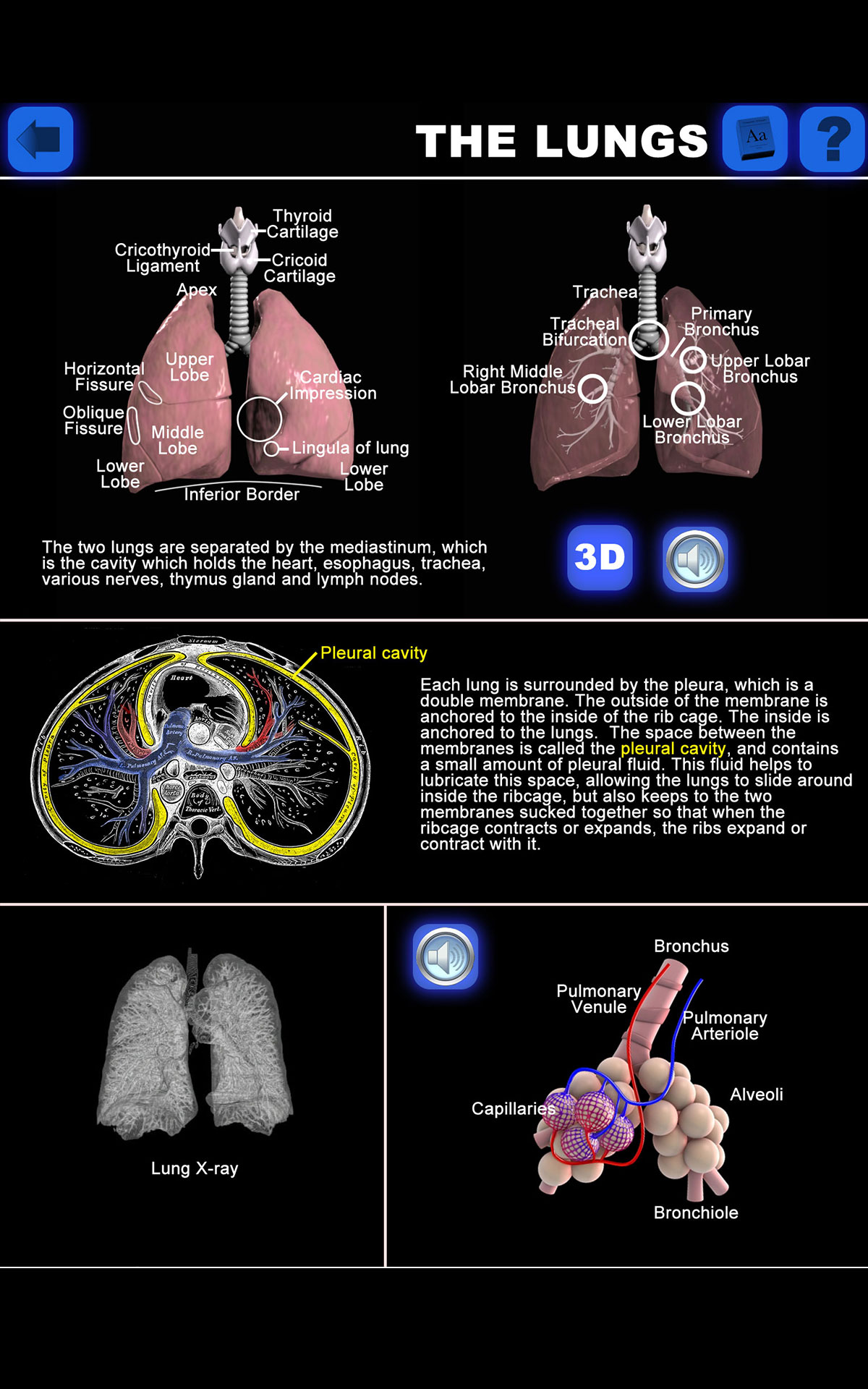 Anatomy 3D: Organs:Amazon.ca:Appstore for Android