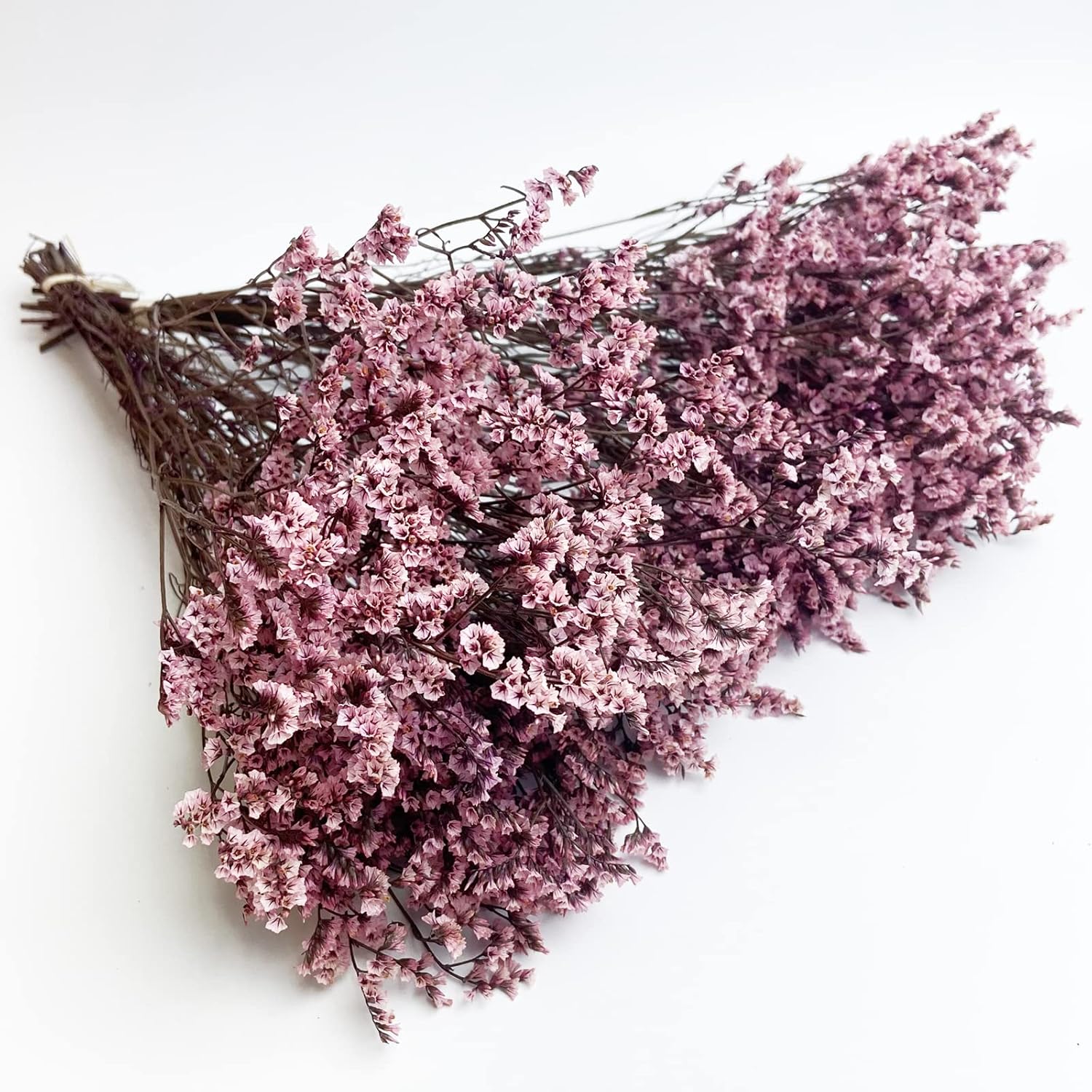 Amazon.com: Birtlynn Preserved Baby's Breath Grass Bouquets, 100% ...