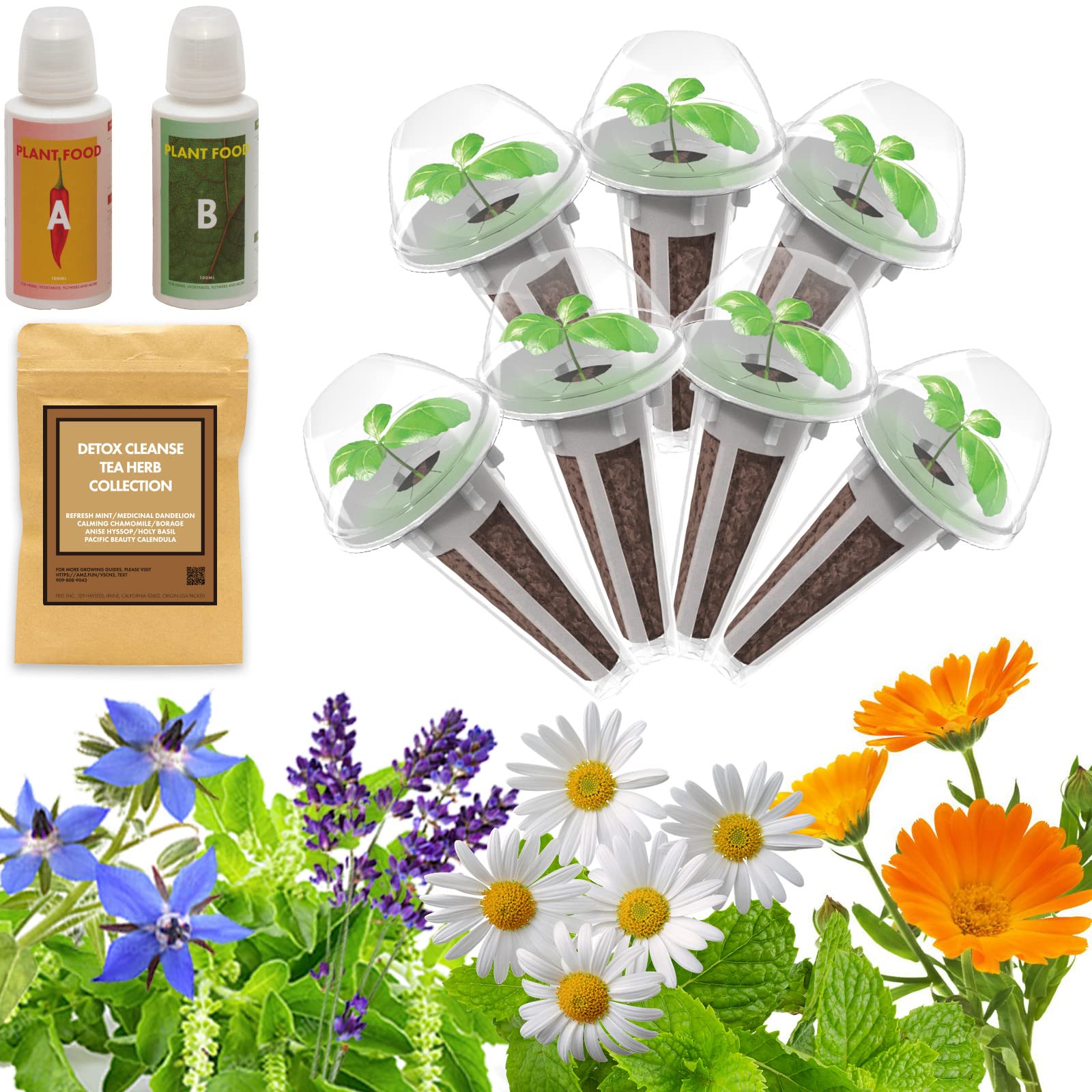 Snapklik.com : LYKO Mint Seed Pod Kit For AeroGarden, Idoo, MUFGA ...