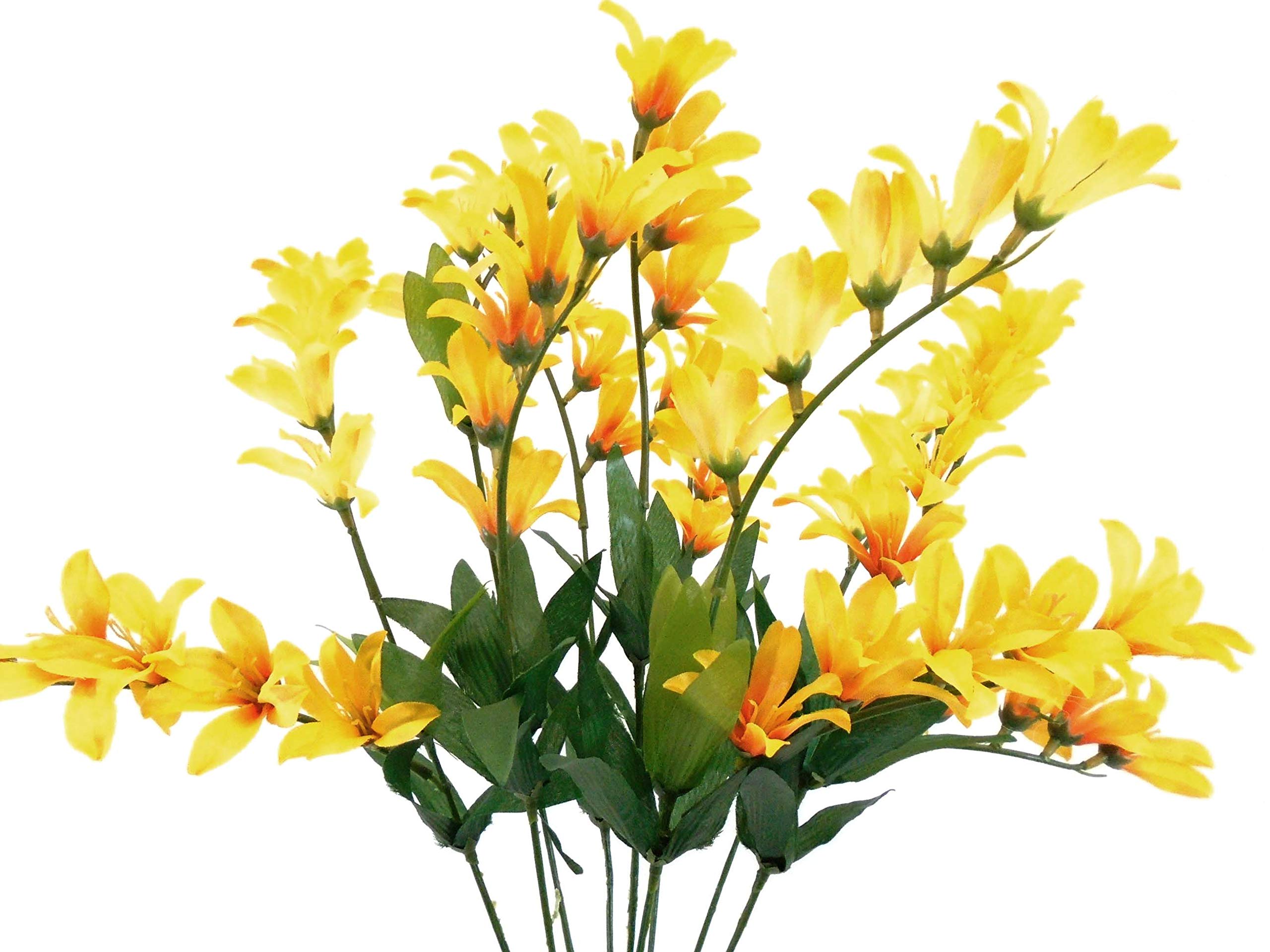 Yellow Freesia Bush