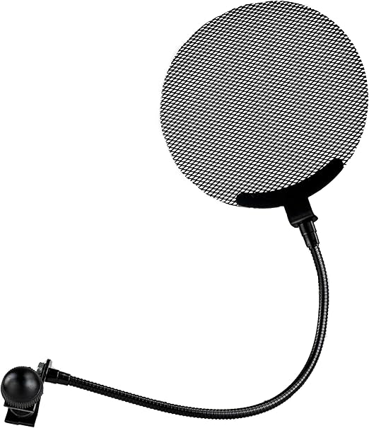 Amazon.com: Mic Pop Filter : Musical Instruments