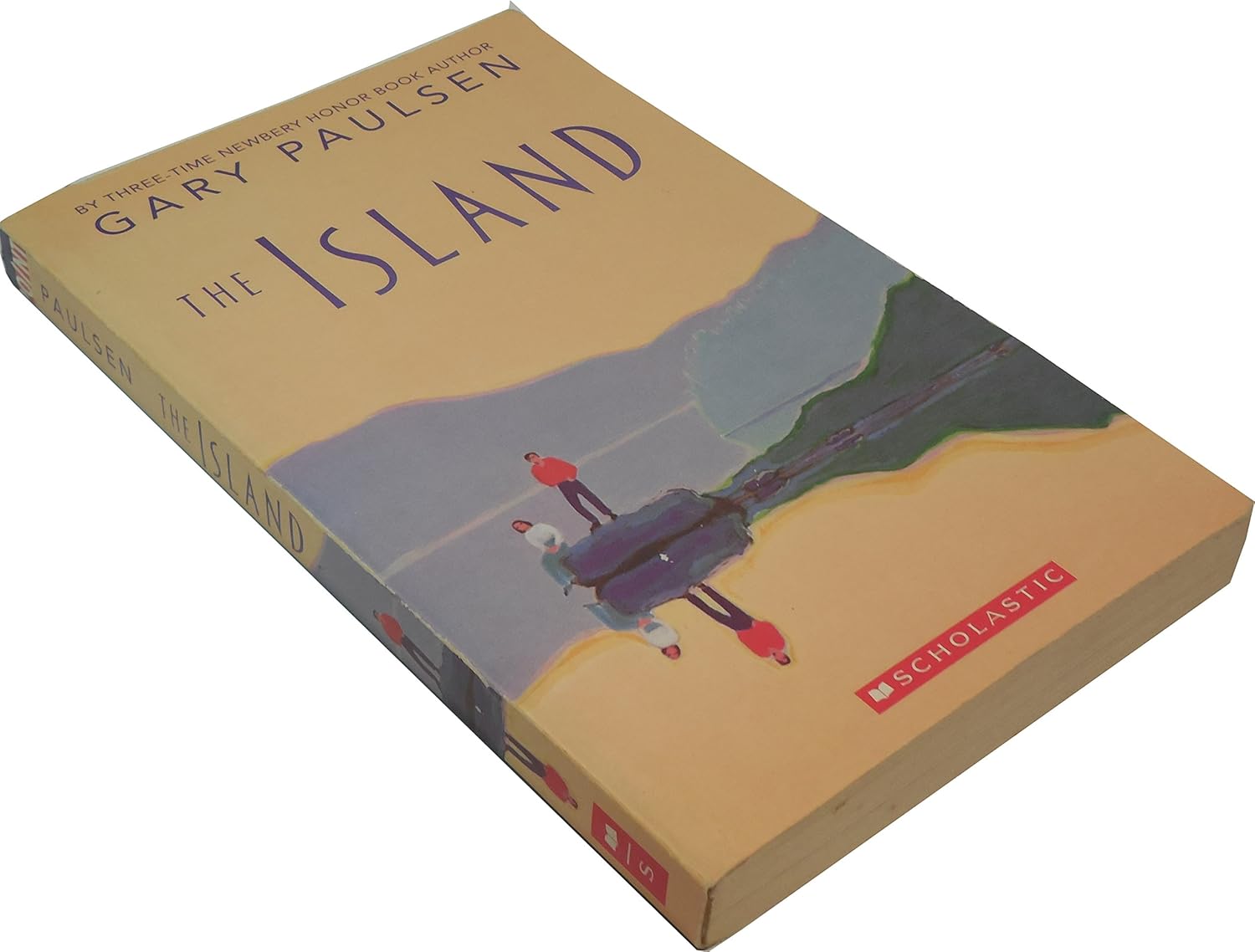 The Island: Paulsen, Gary: 9780439786621: Amazon.com: Books