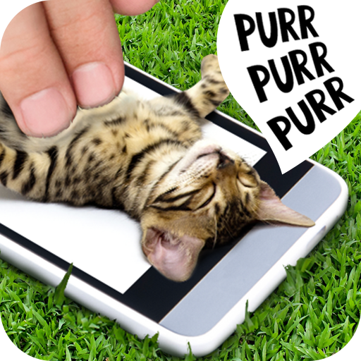 Pat the Cat - App on Amazon Appstore