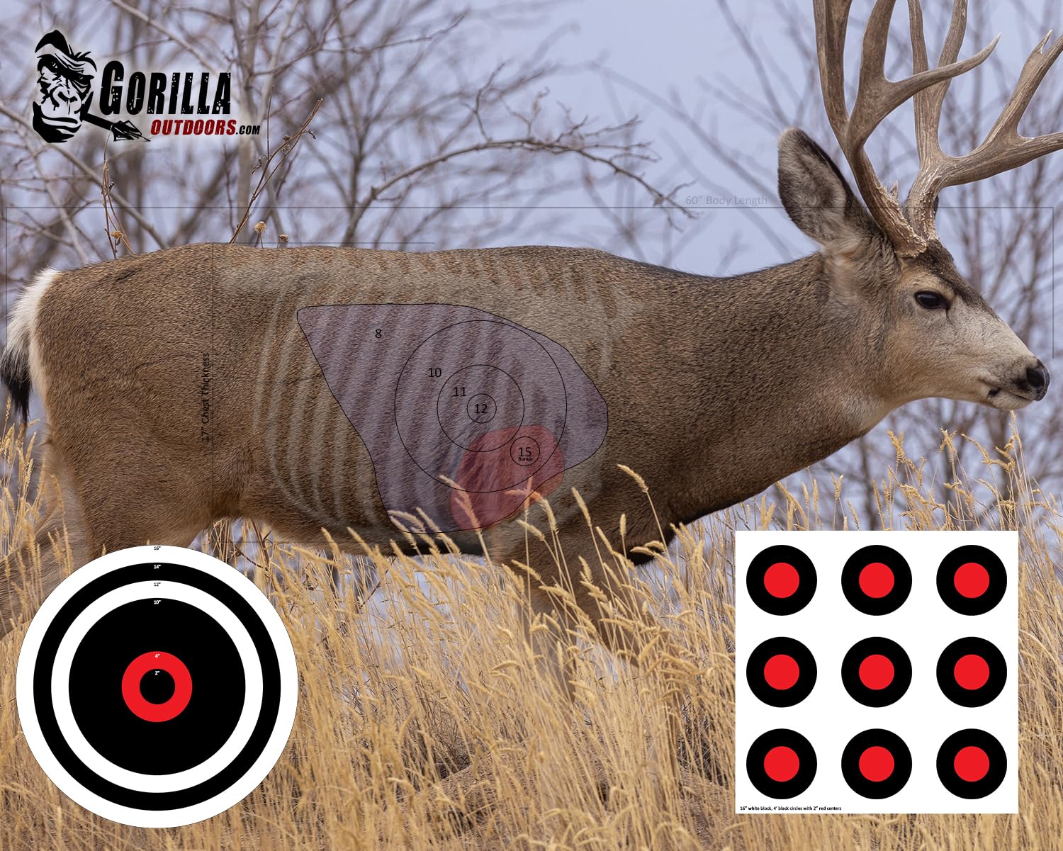 Amazon.com : Deer Target - Full Size Deer Target Archery & Rifle Target ...