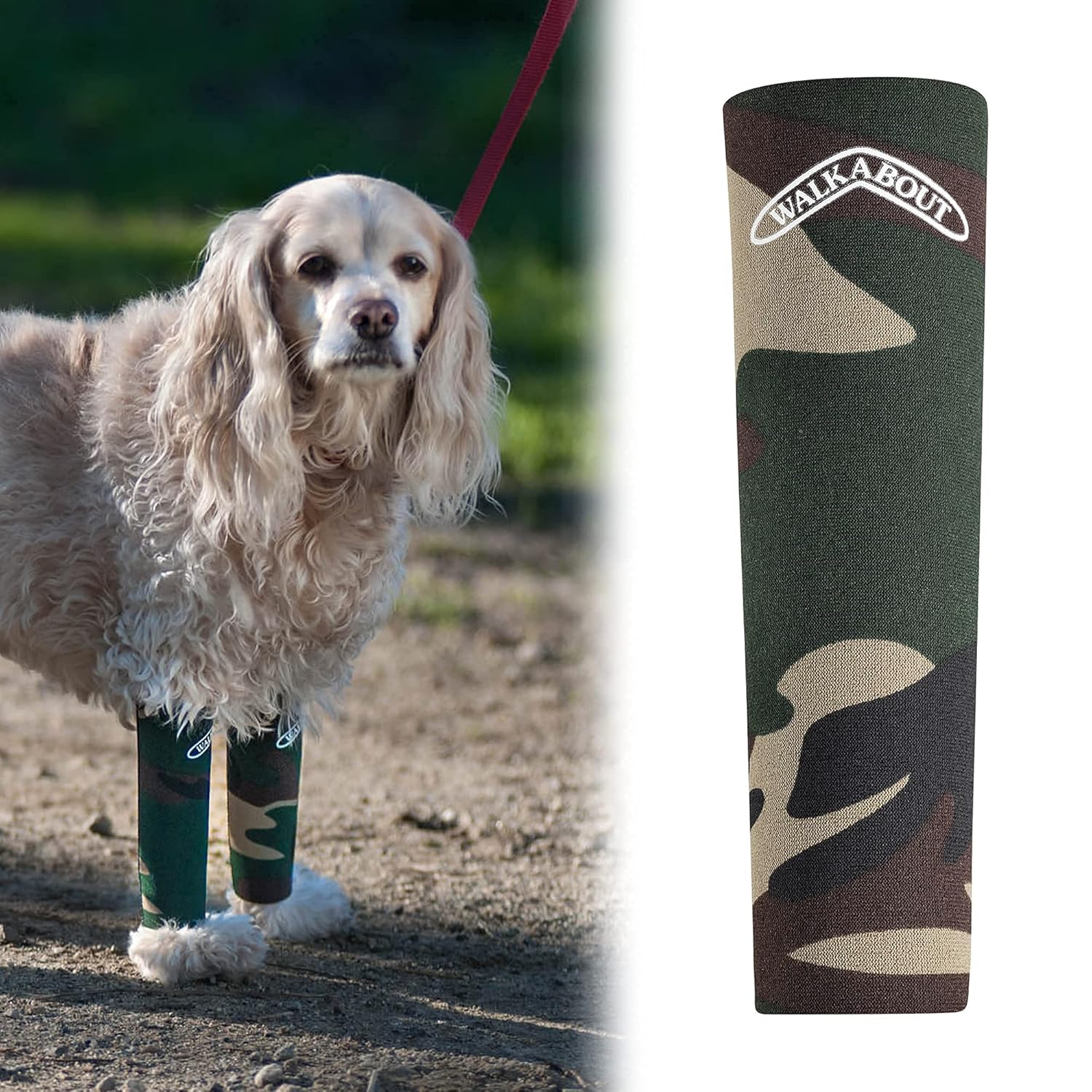 Amazon.com: WALKABOUT Compression Sleeve for Dogs, Canine Leg Brace to ...