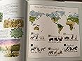 A Child's Introduction to the World: Geography, Cultures, and People ...