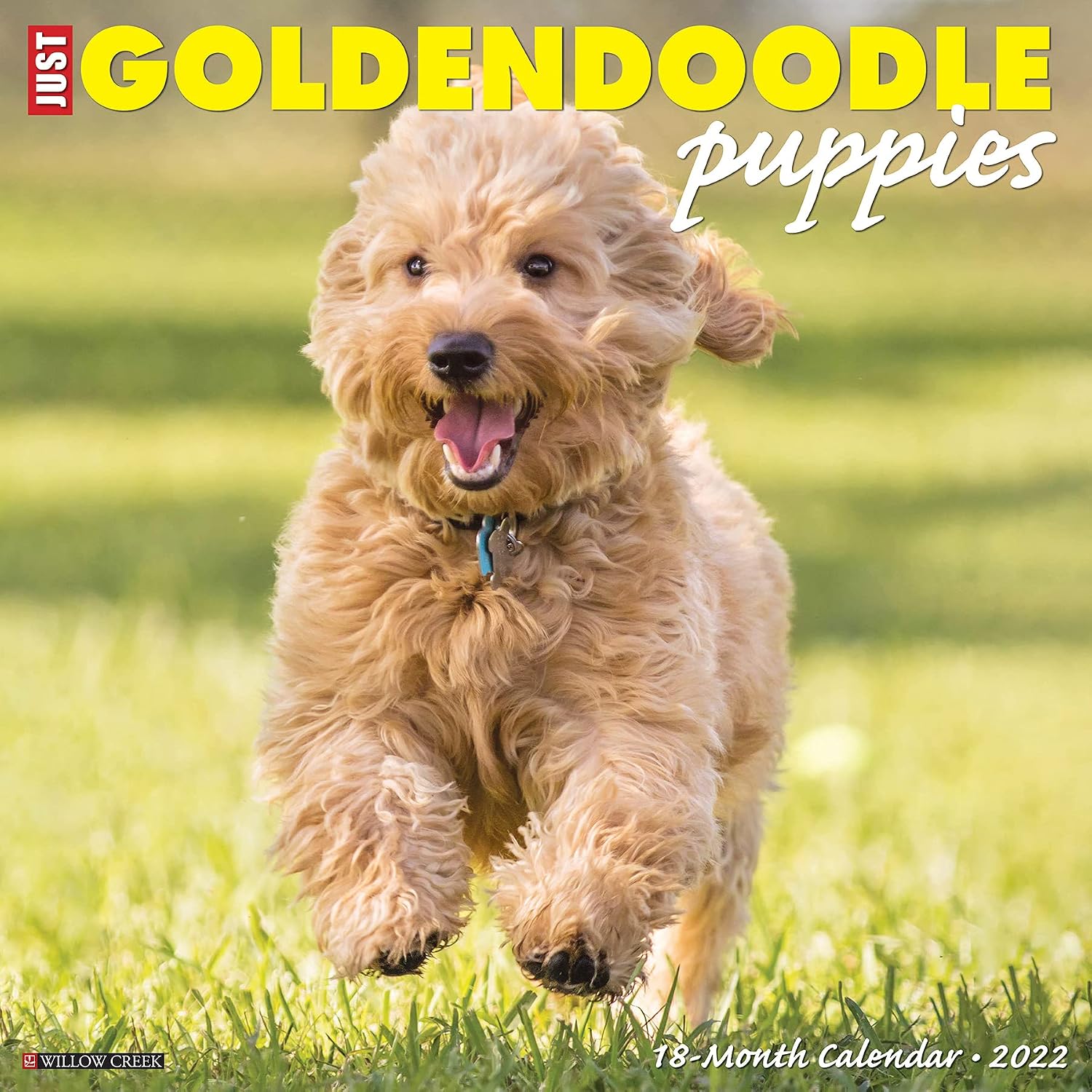Just Goldendoodle Puppies 2022 Wall Calendar (Dog Breed): Willow Creek ...
