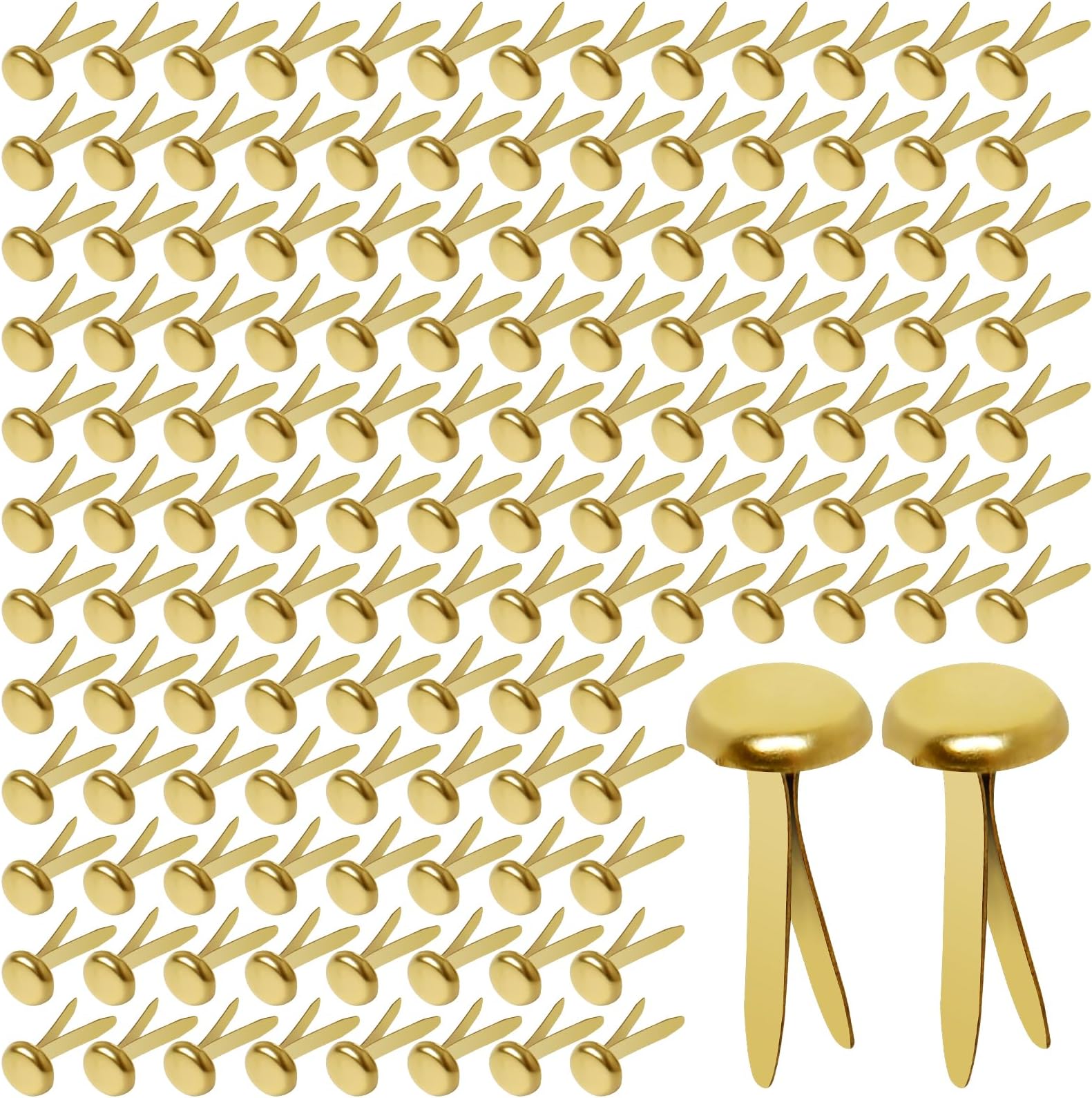 Amazon.com : Hapy Shop Paper Fasteners,Medium 3/4-Inch Brass Plated Scrapbooking Brads Round ...