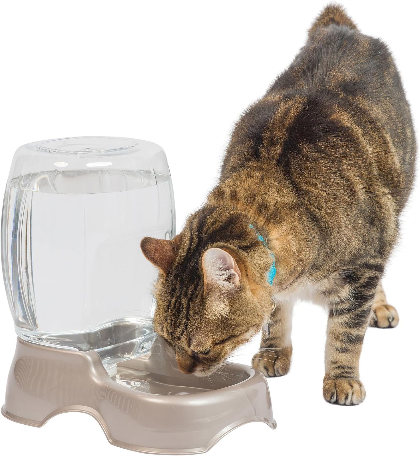 Pet Supplies : Petmate Pet Cafe Waterer Cat and Dog Water Dispenser 4 ...