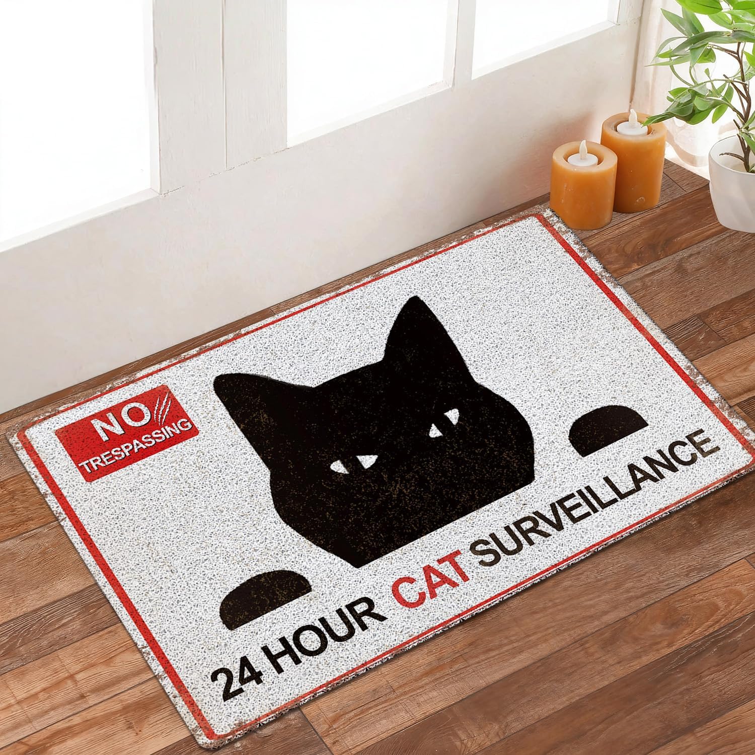 Amazon.com: KBRCT Funny Black Cat Door Mat Outdoor Indoor Entrance ...
