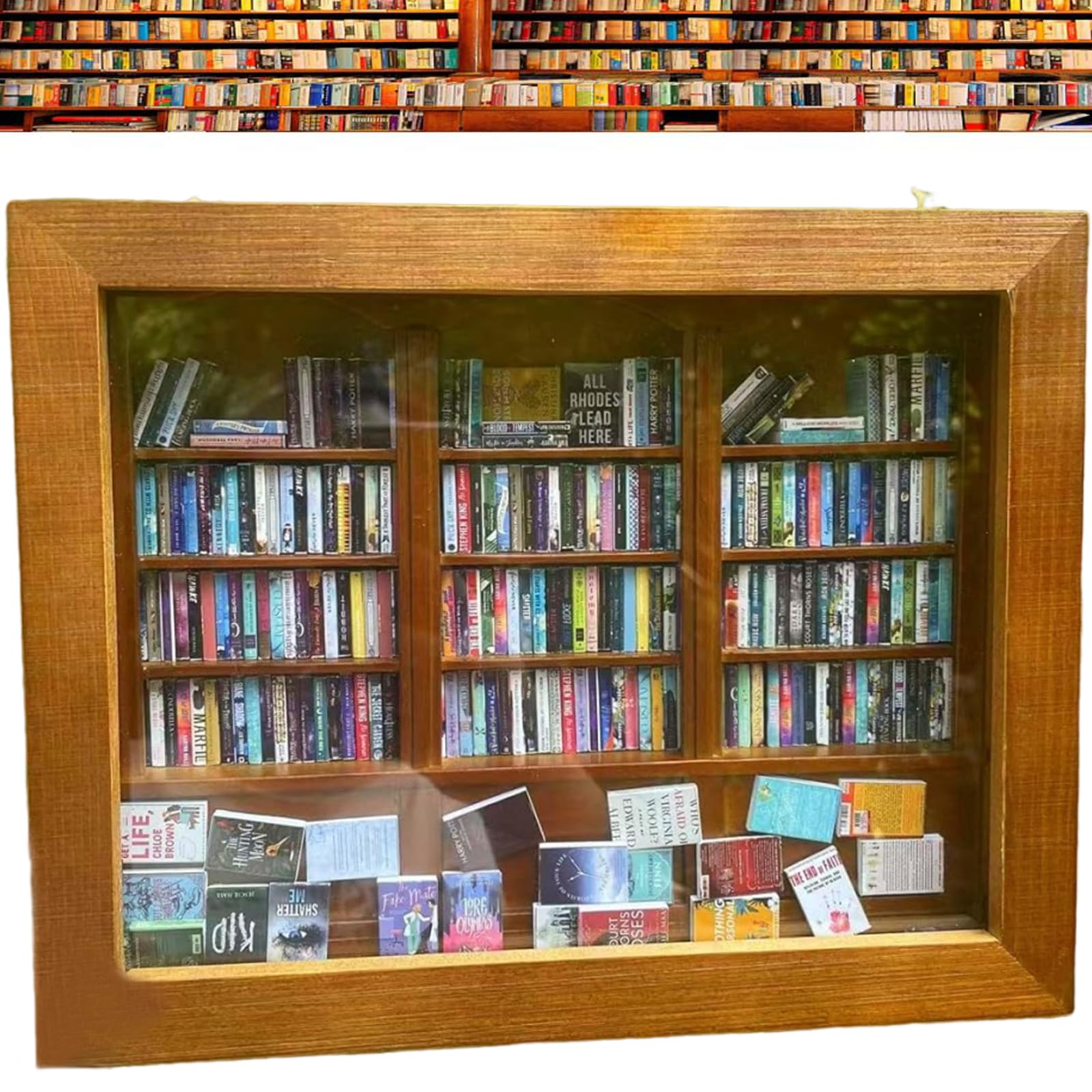 Amazon.com: Cessfle Anxiety Mini Bookshelf | Shake Away Your Anxiety ...