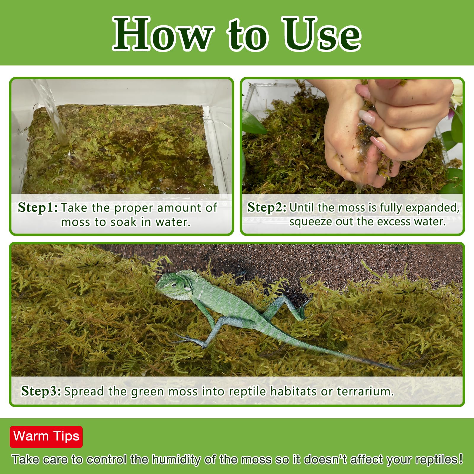 Snapklik.com : 1.1LB Natural Sphagnum Moss For Reptiles Green Live Moss ...