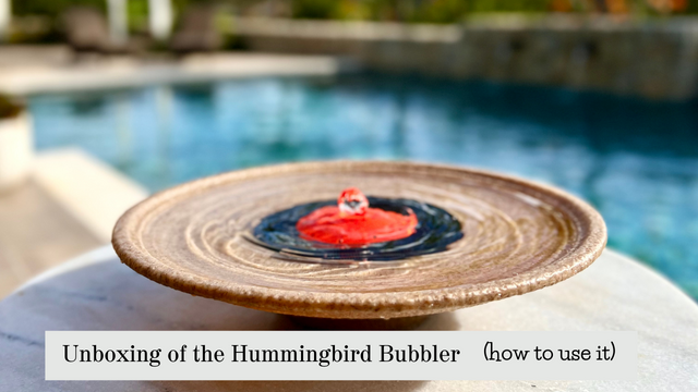 Watch Quackups Hummingbird Solar Bubbler Fountain, birdbath on Amazon Live