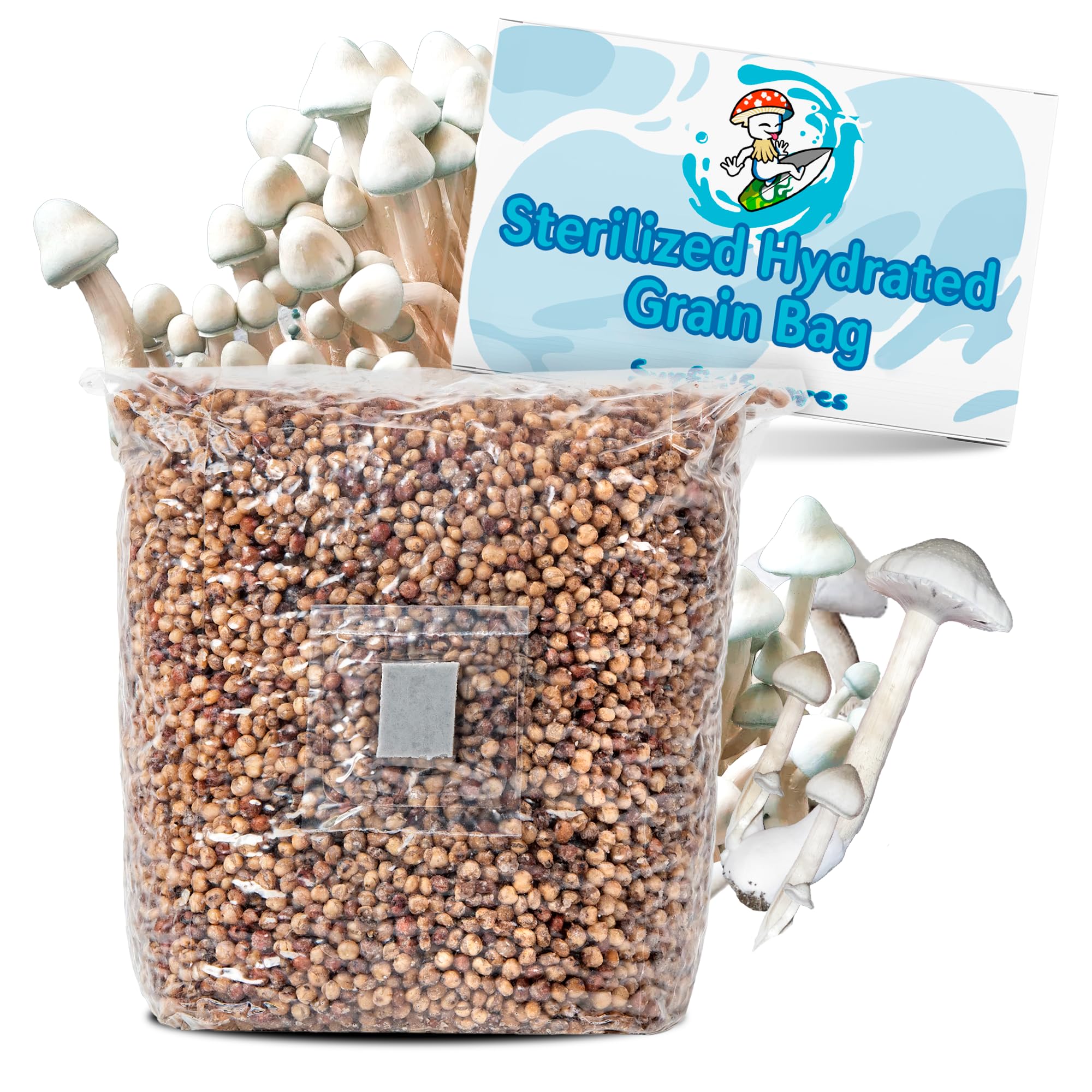 Amazon.com : Surfin' Spores Sterilized Hydrated Grain Bag for Mushroom ...