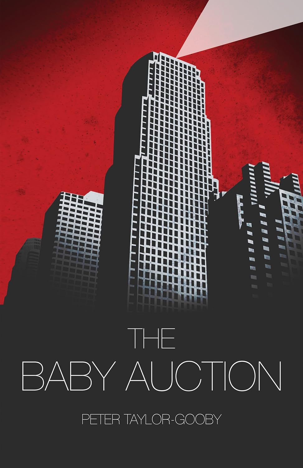 Amazon.com: The Baby Auction eBook : Taylor-Gooby, Peter: Kindle Store
