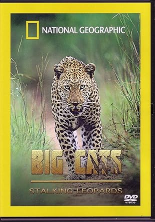 Amazon.com: Big Cats - Stalking Leopards [DVD] : Movies & TV