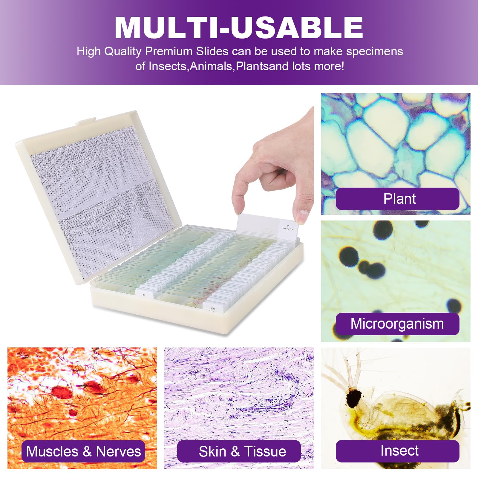 Snapklik.com : 100 Pcs Microscope Slides