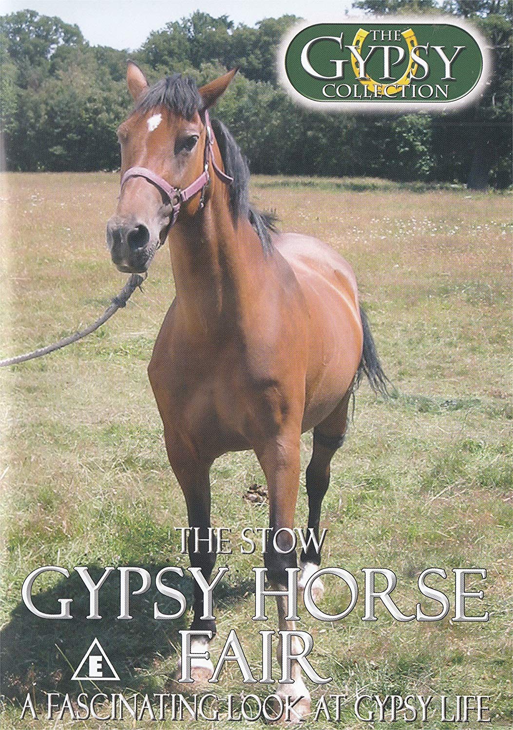Amazon.com: The Stow Gypsy Horse Fair - A Fascinating Look At Gypsy ...