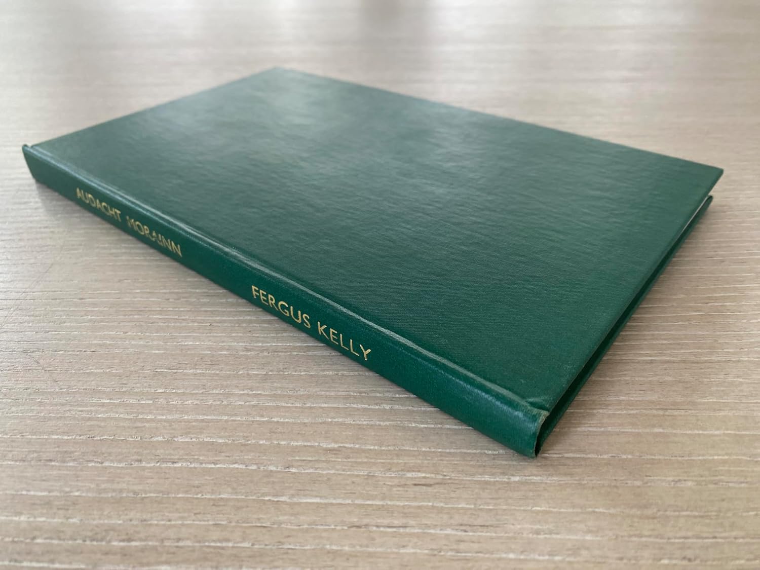 Audacht Morainn (Irish Literature - Prose): Kelly, Fergus ...