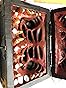 Amazon.com: Galdor's Guild Mimic Chest Dice Storage Box | Free Lock ...