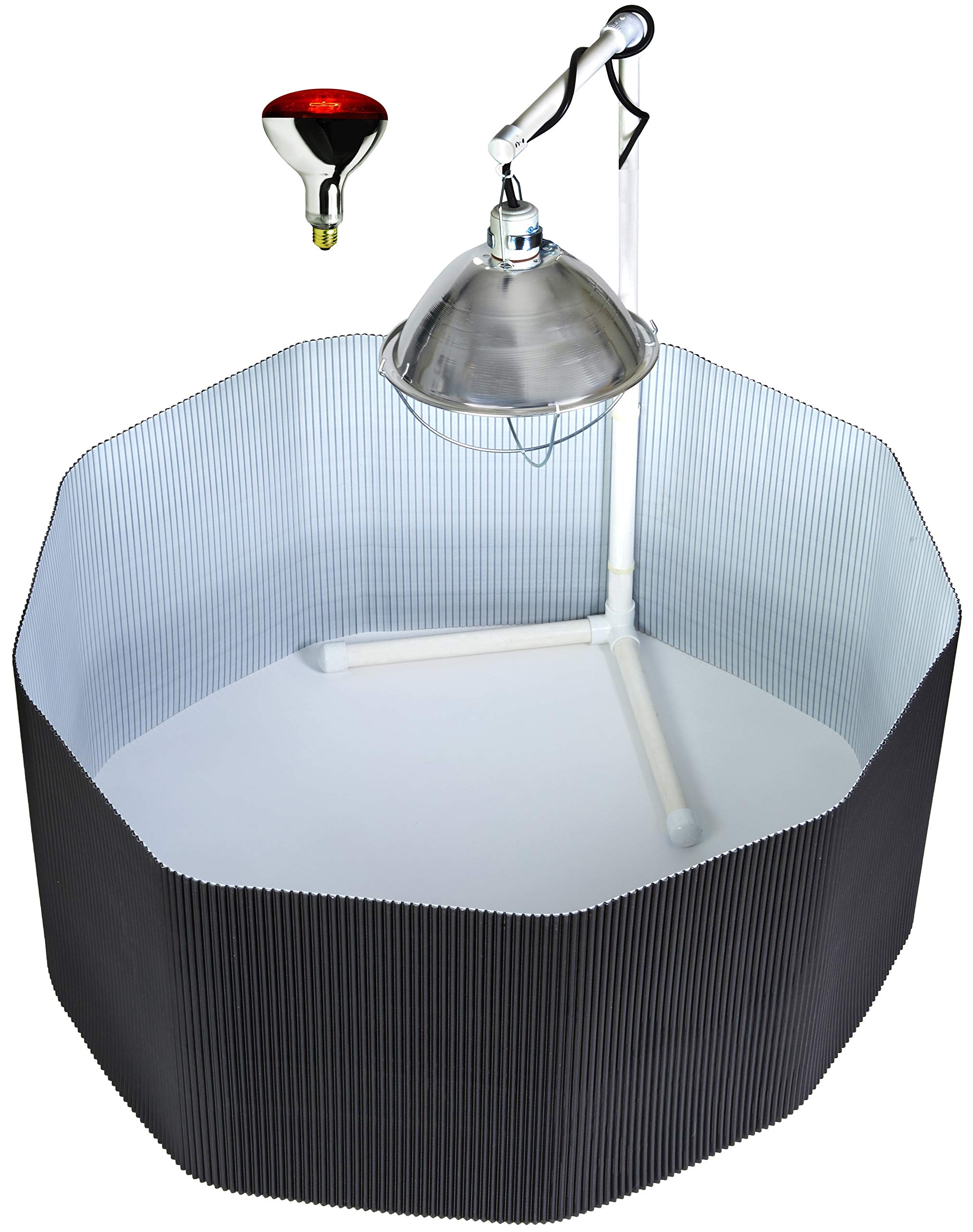 Amazon.com : Rite Farm Products/Miller Deluxe Chick BROODER KIT Poly ...