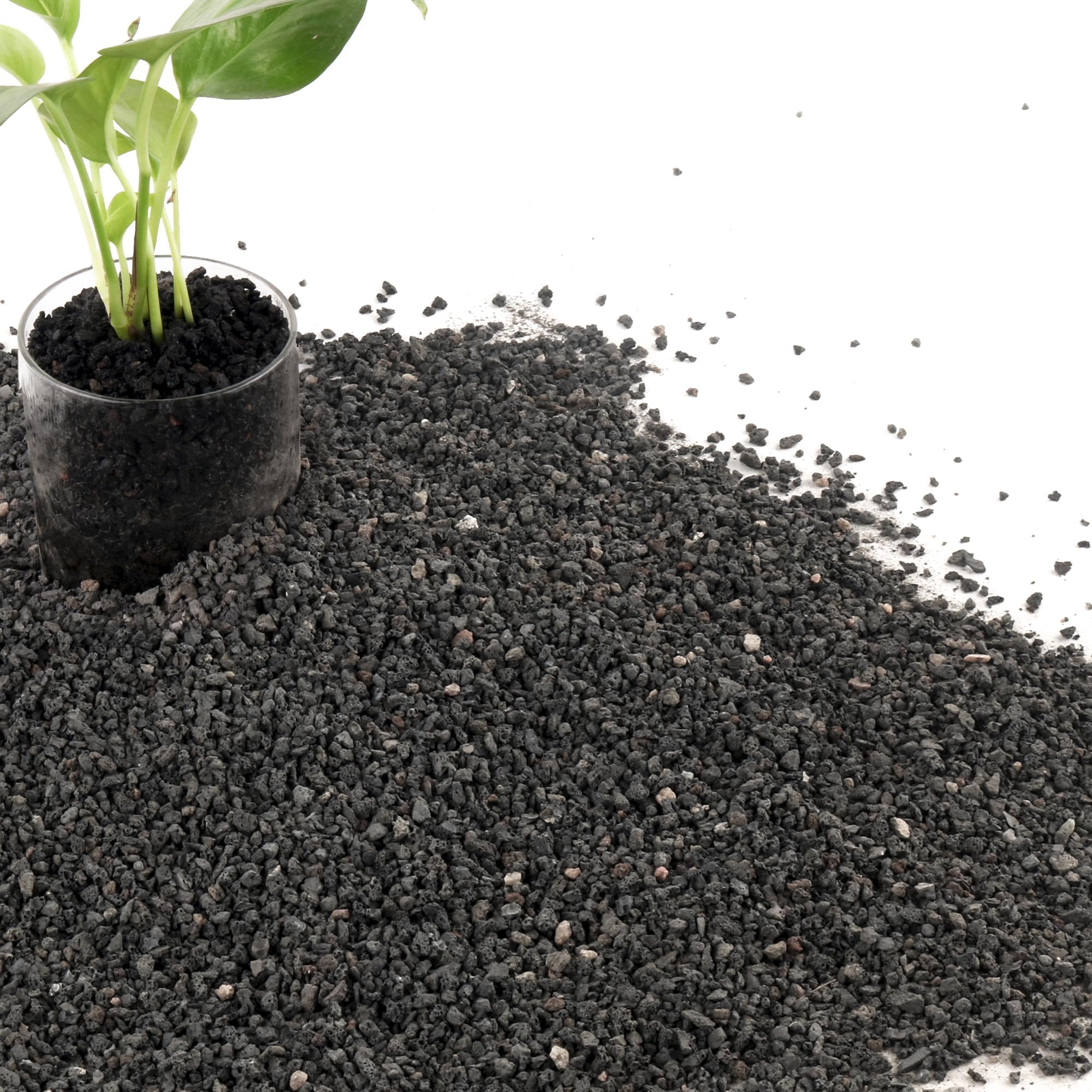 Amazon.com : Real Lava Sand - Screened, Washed, Dried and Sanitized ...