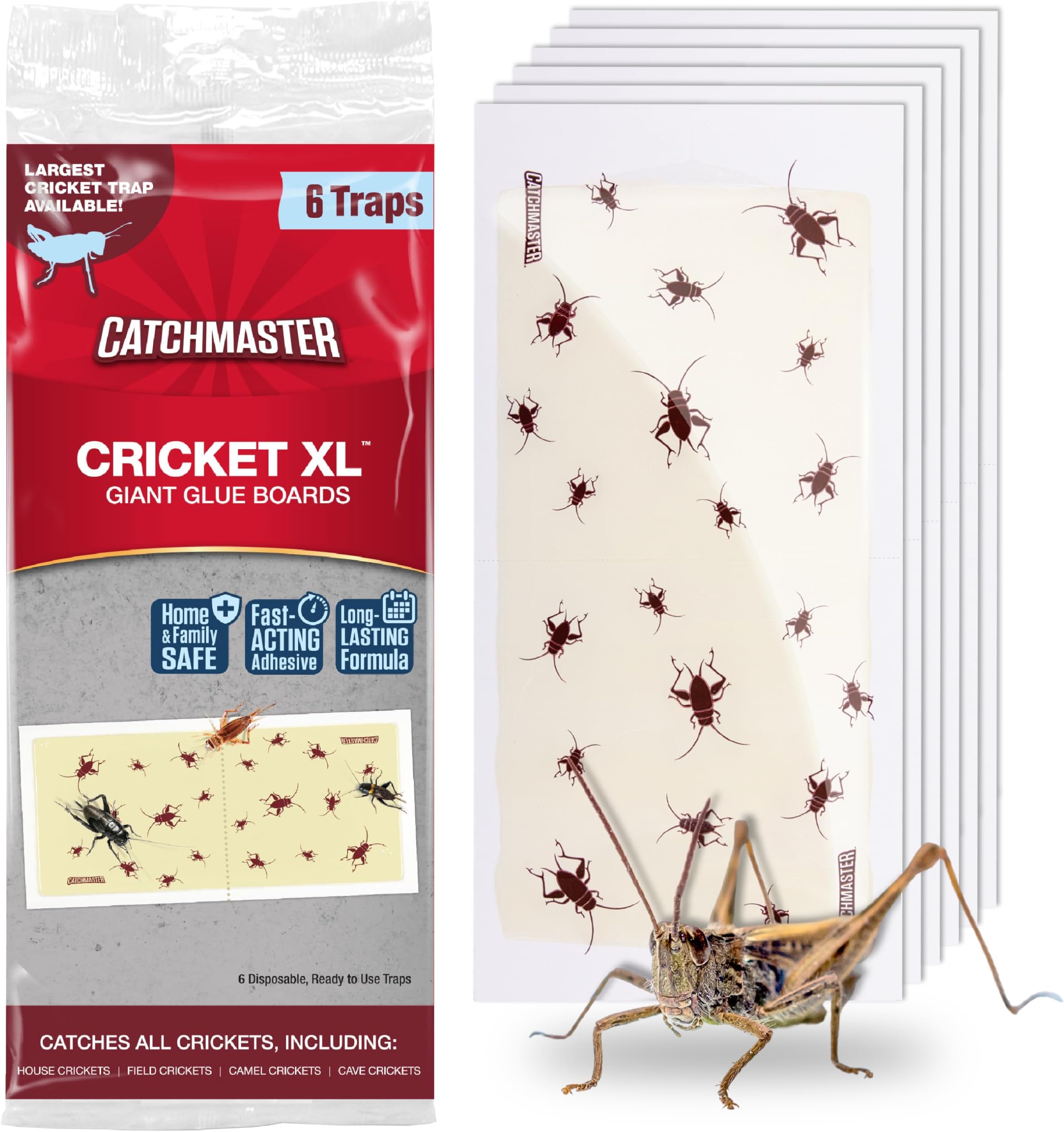 Amazon.com : Bug Shield Sticky Glue Traps 12 Glue Boards, All Types of ...