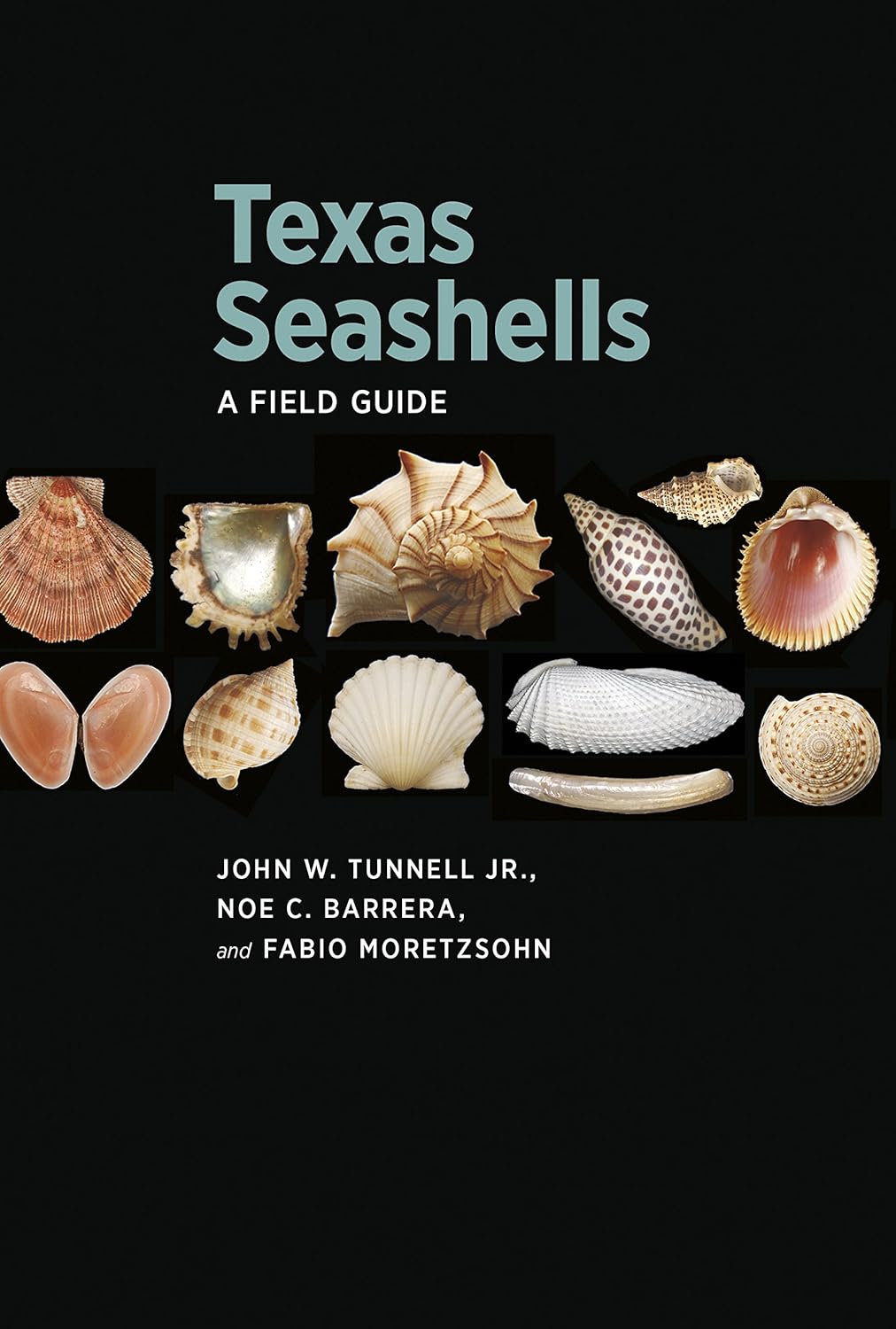 Texas Seashells: A Field Guide (Harte Research Institute for Gulf of ...