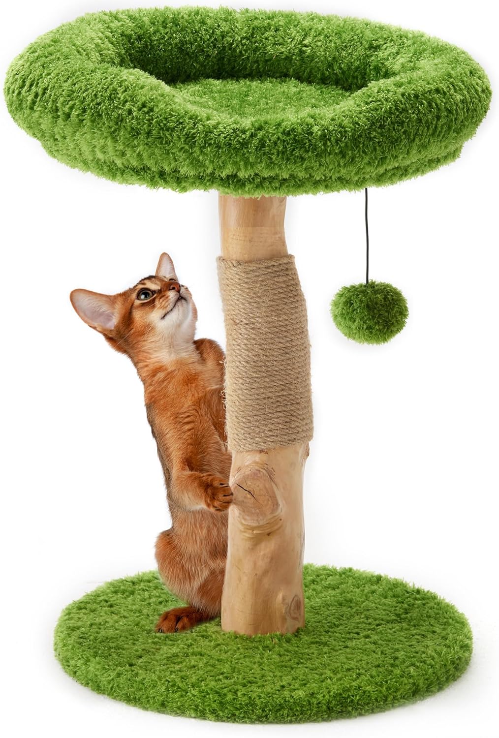Amazon.com : Cat Scratching Post, 20" Plant Style Kitten Scratcher ...