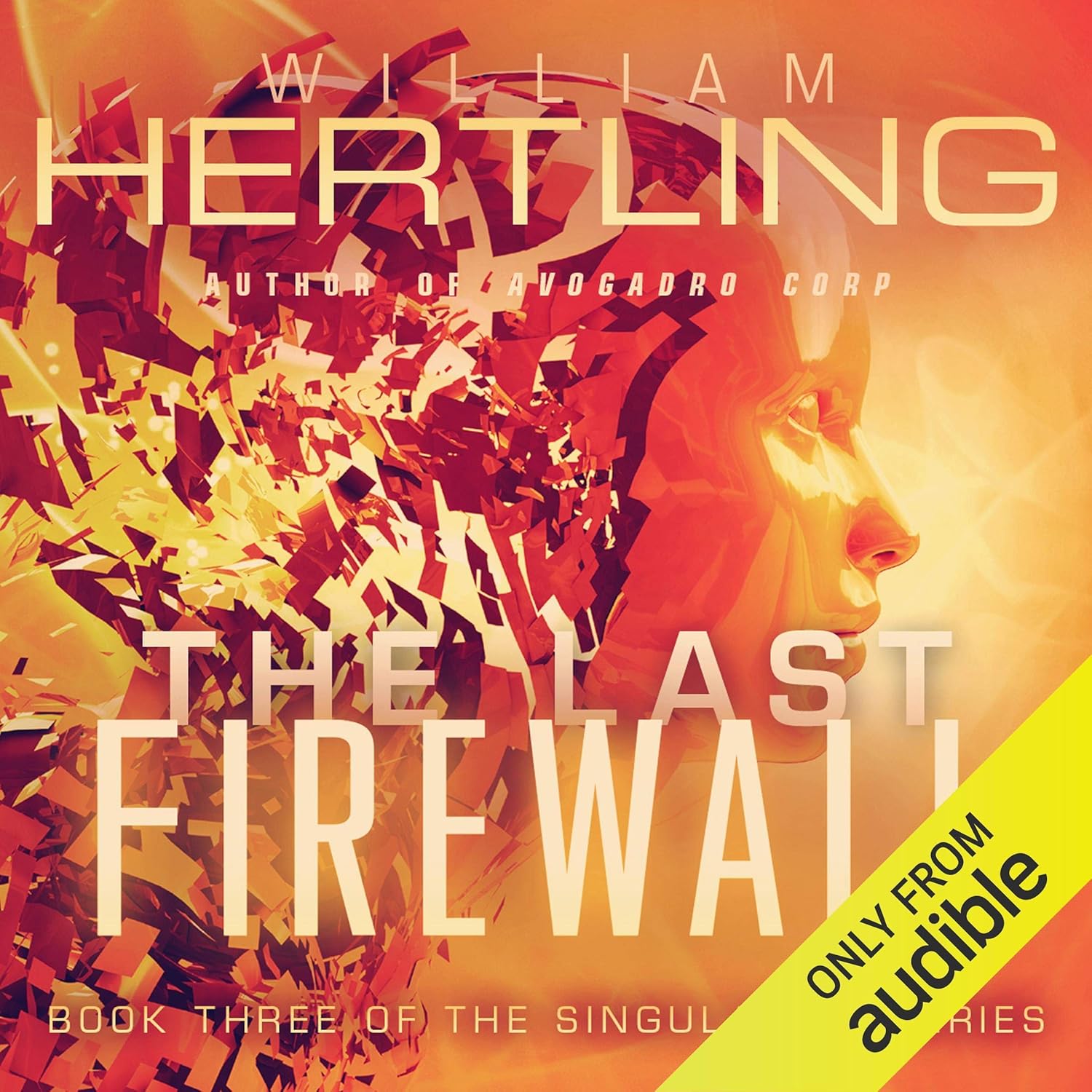 Amazon.com: The Last Firewall (Audible Audio Edition): William Hertling ...