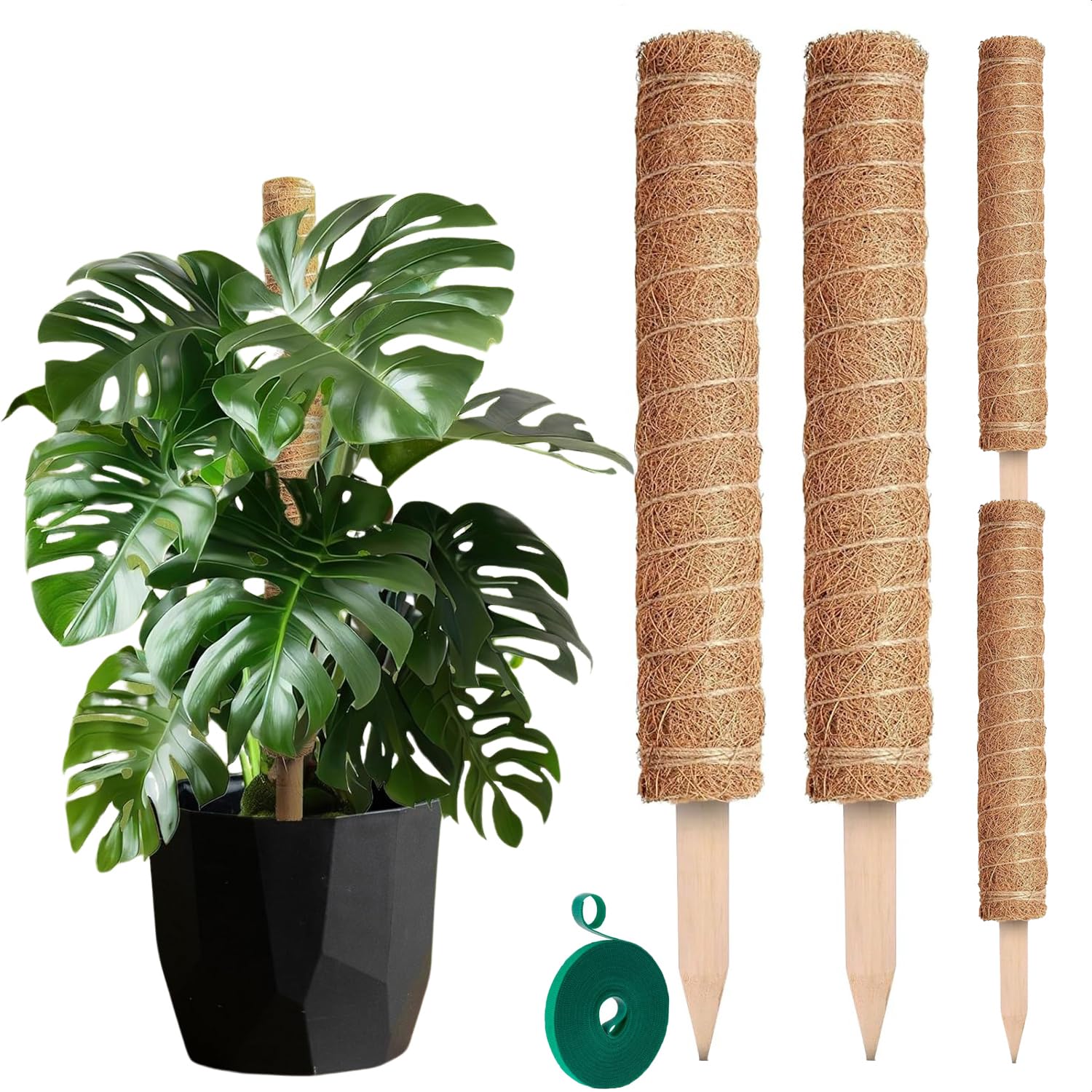 Snapklik.com : 2 Pack Moss Pole Monstera Plant Support 12” Each Moss ...