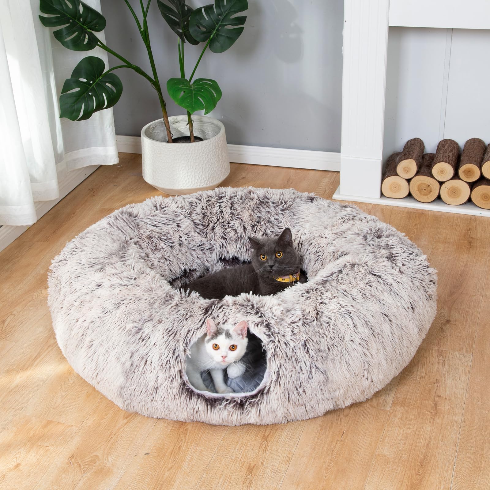 Amazon.com : NANANARDOSO Large Cat Tunnel with Bed, Cat Circle Tunnel ...