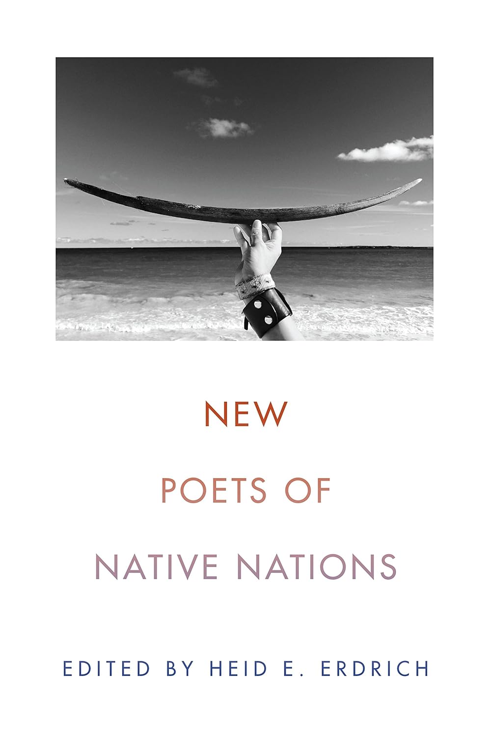 Amazon.com: New Poets of Native Nations: 9781555978099: Erdrich, Heid E ...