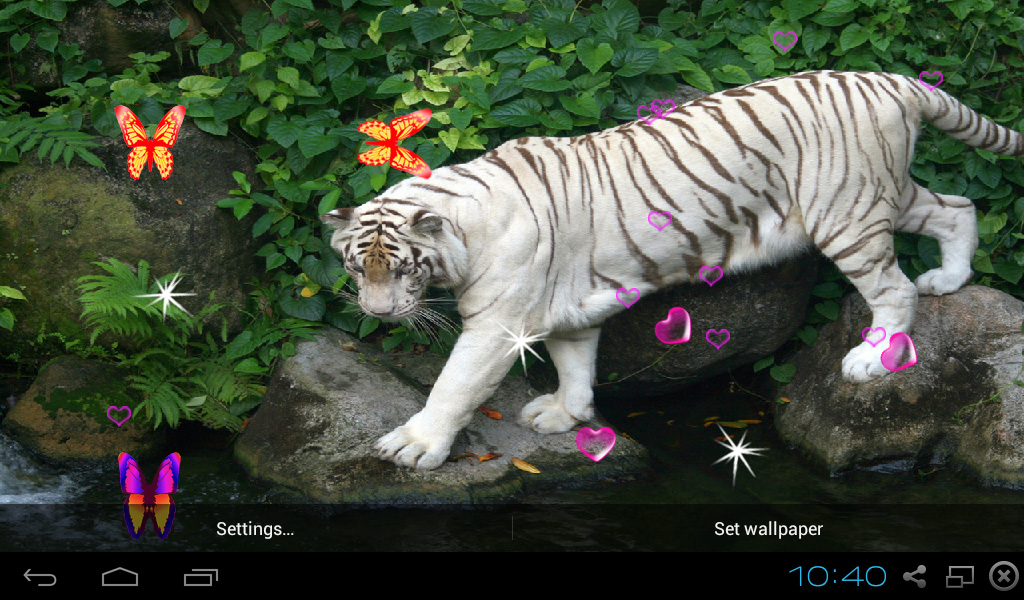 3D Bengal Tiger Live Wallpaper - App on Amazon Appstore