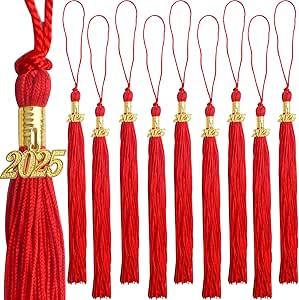 Amazon.com: 10pcs Graduation Tassels Red Handmade Tassel Grad Cap ...