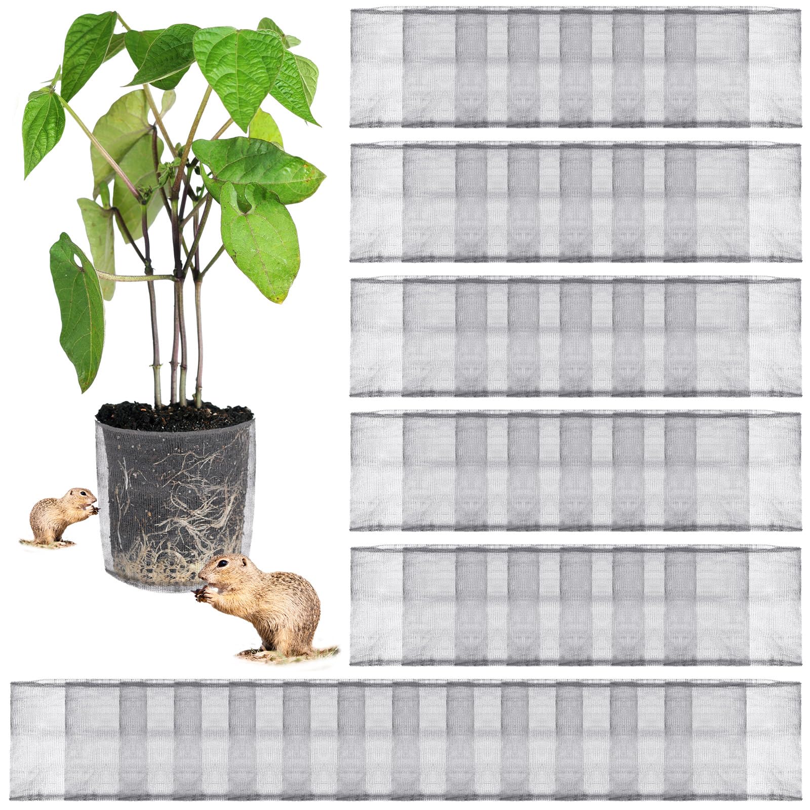 Amazon.com : Yaocom 50 Pcs Gopher Proof Wire Basket Bulk 1 Gallon Plant ...