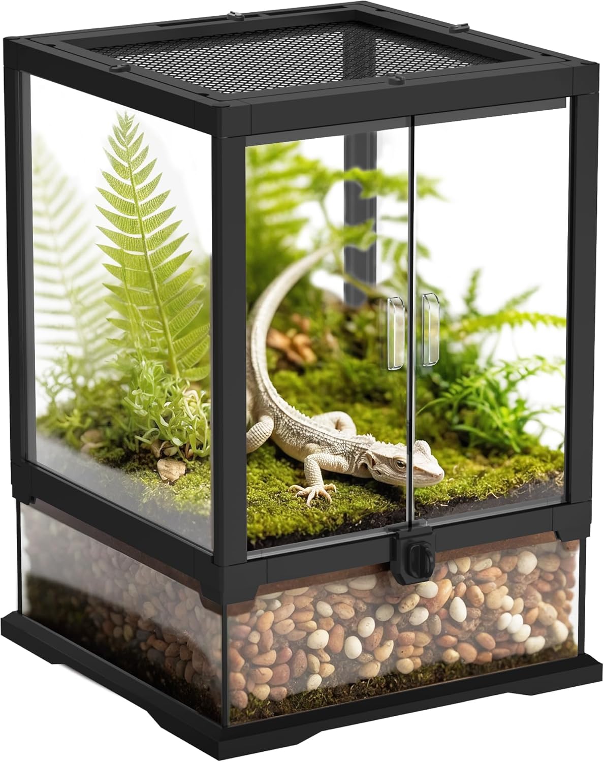 Amazon.com : Eckpo 12’’x 12’’x 18’’ Reptile Terrarium with Full View ...