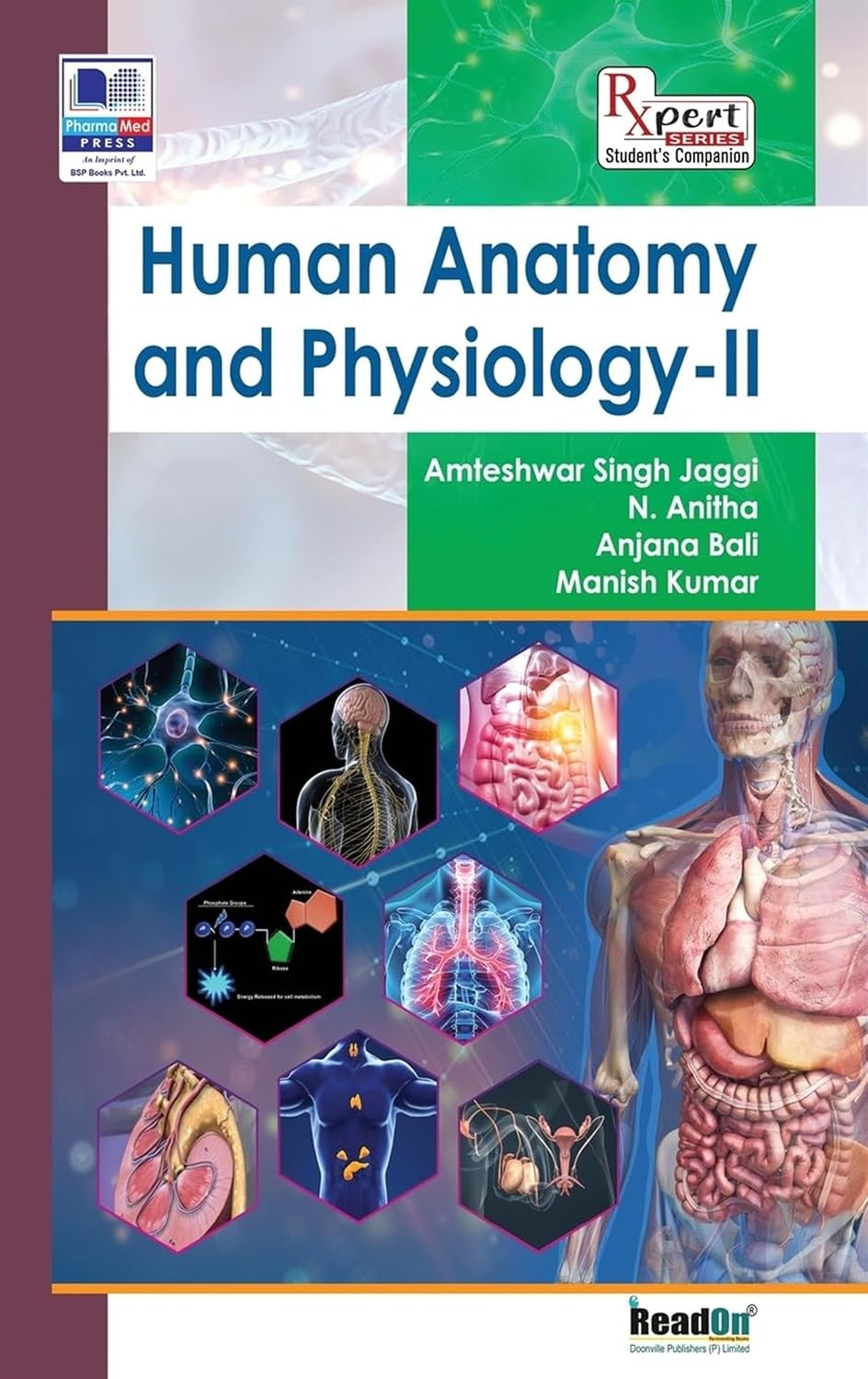 Human Anatomy and Physiology - II - Kindle edition by Dr. Amteshwar ...