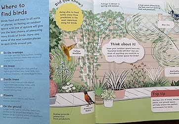 The Children's Book of Birdwatching: Nature-Friendly Tips for Spotting ...
