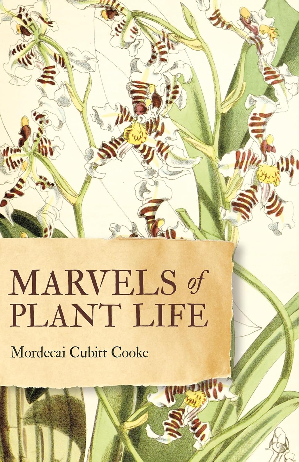 Marvels of Plant Life: Curiosities of Vegetation: Cooke, Mordecai ...